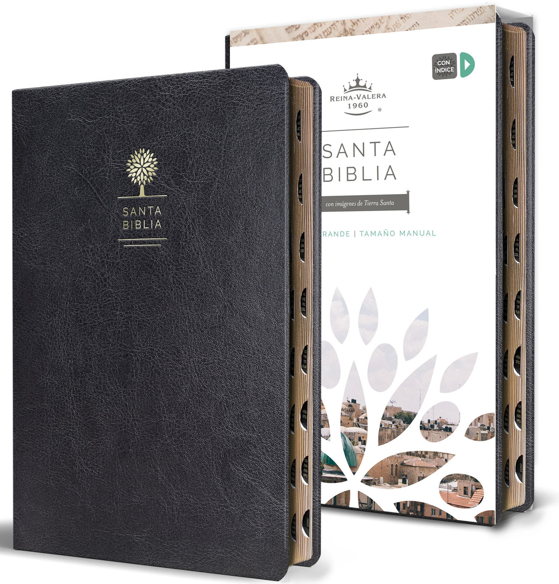 Biblia Reina Valera 1960 letra grande. Símil piel negro, índice, tamañ ...